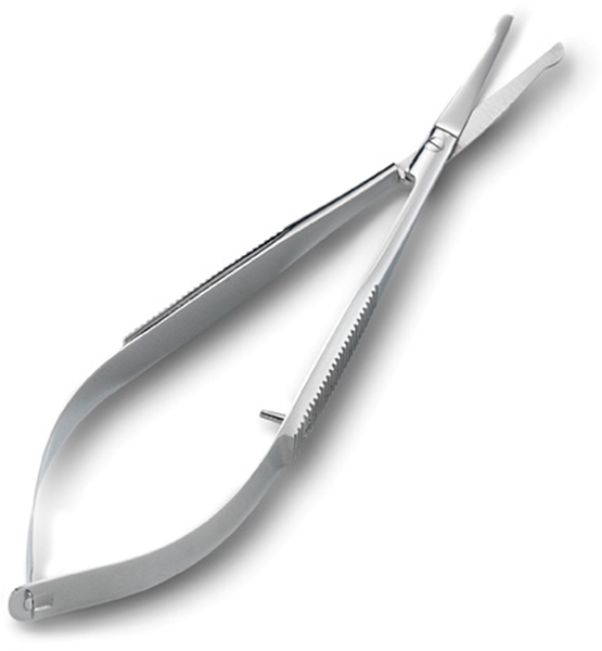 Punch with Judy > Squeeze Lace and Appliqu Snips with Rounded Tips ...